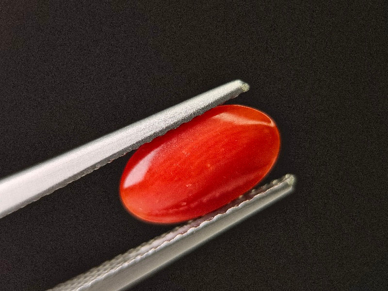 SNG-19 珊瑚 0.85ct – 東洋ルース公式オンラインショップ
